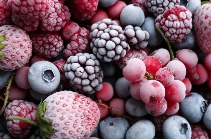Rusagroprom LLC - Leading producer of frozen berries, mushrooms ...